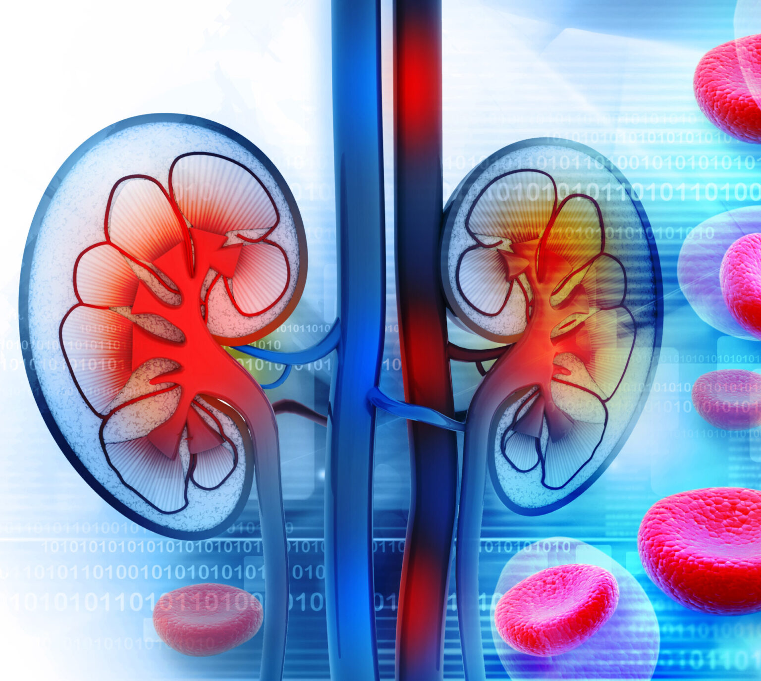 Post-Dialysis Parenteral Antimicrobial Therapy in Patients Receiving ...