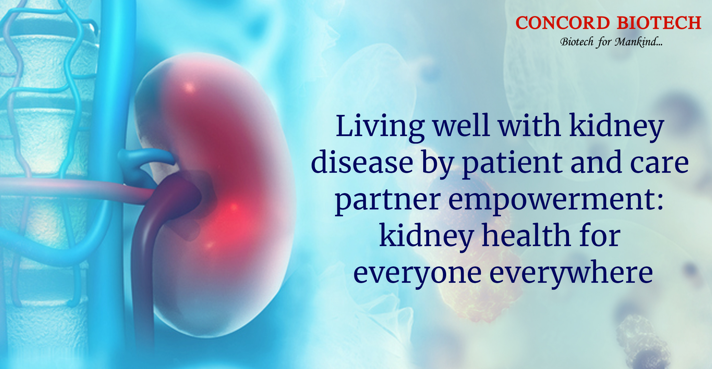 Living well with kidney disease by patient and care partner empowerment ...