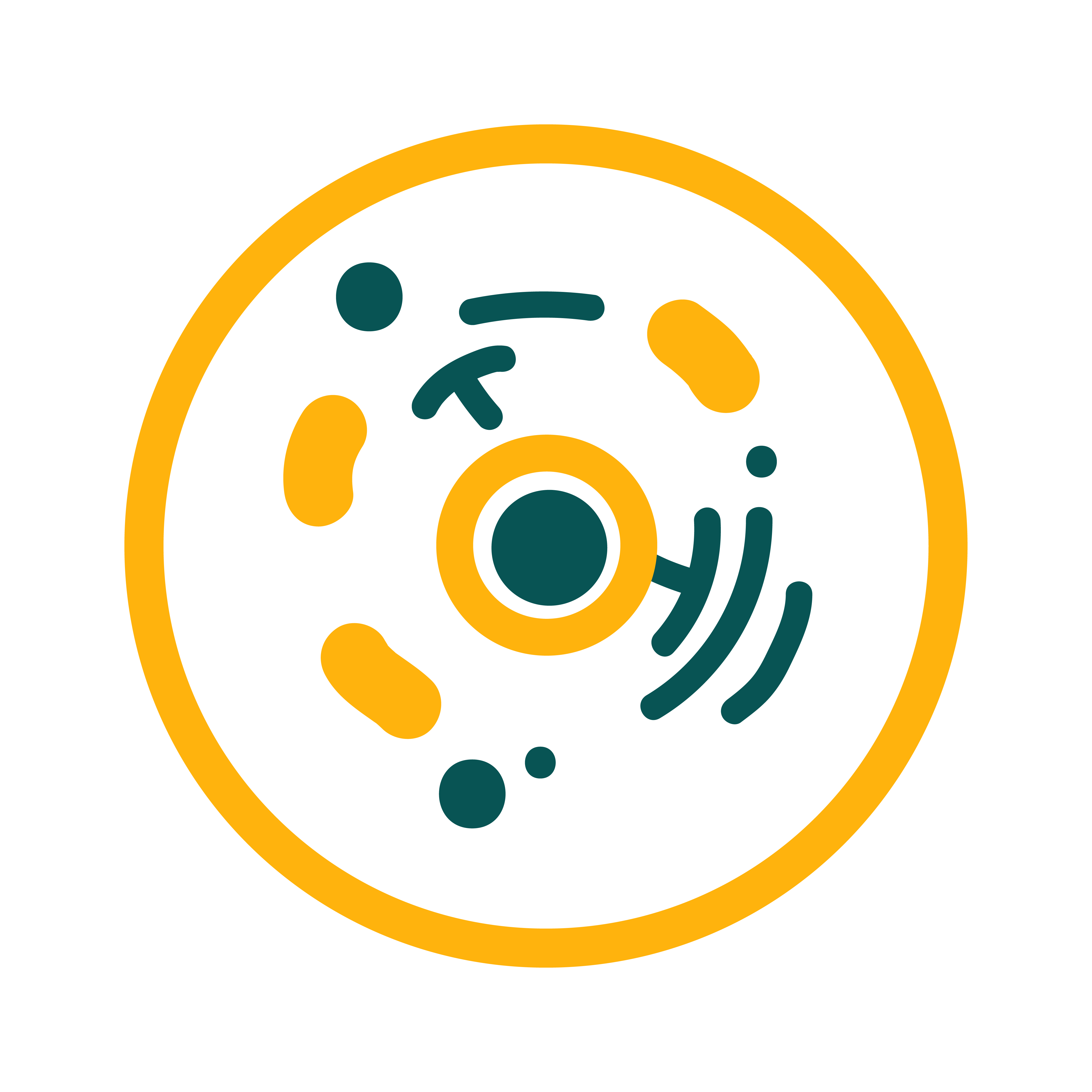 Graft Versus Host Disease - Conquest Health