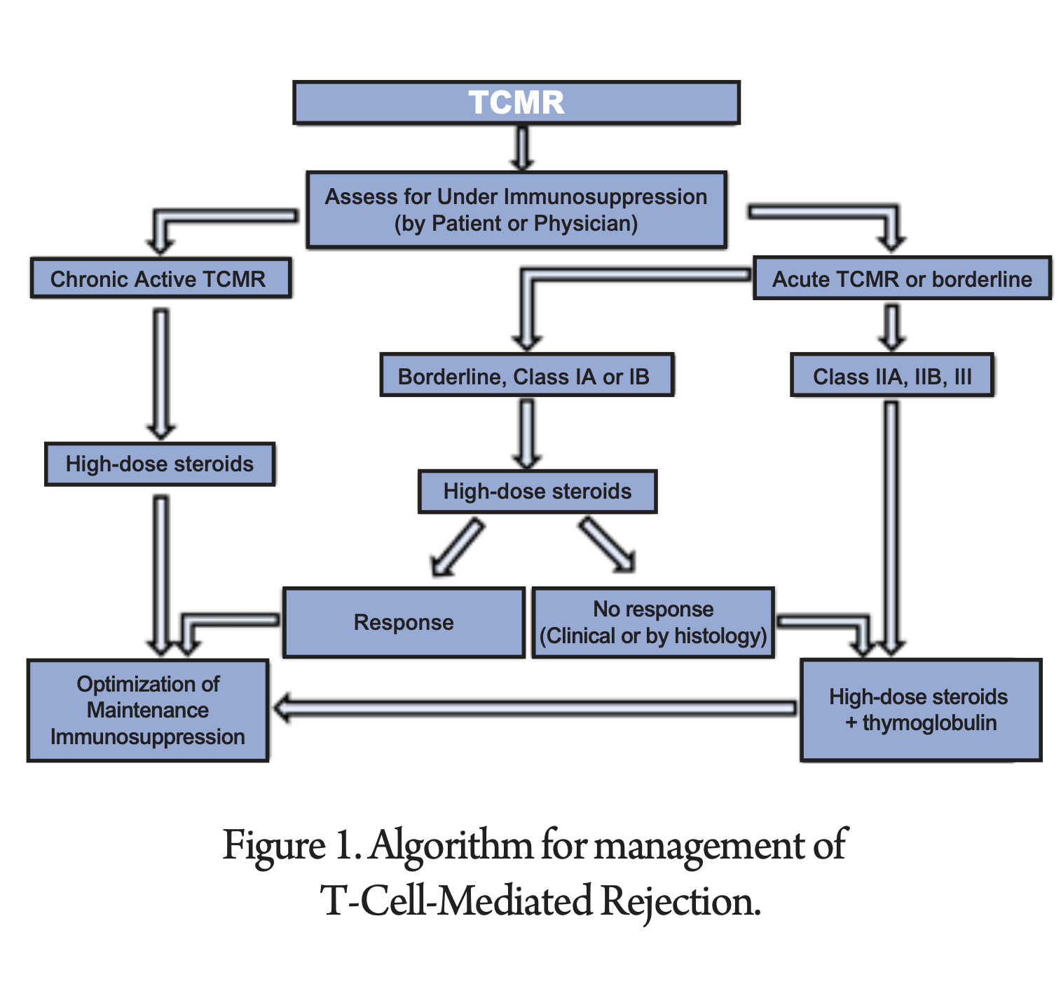 Current Therapies in Kidney Transplant Rejection - Conquest Health