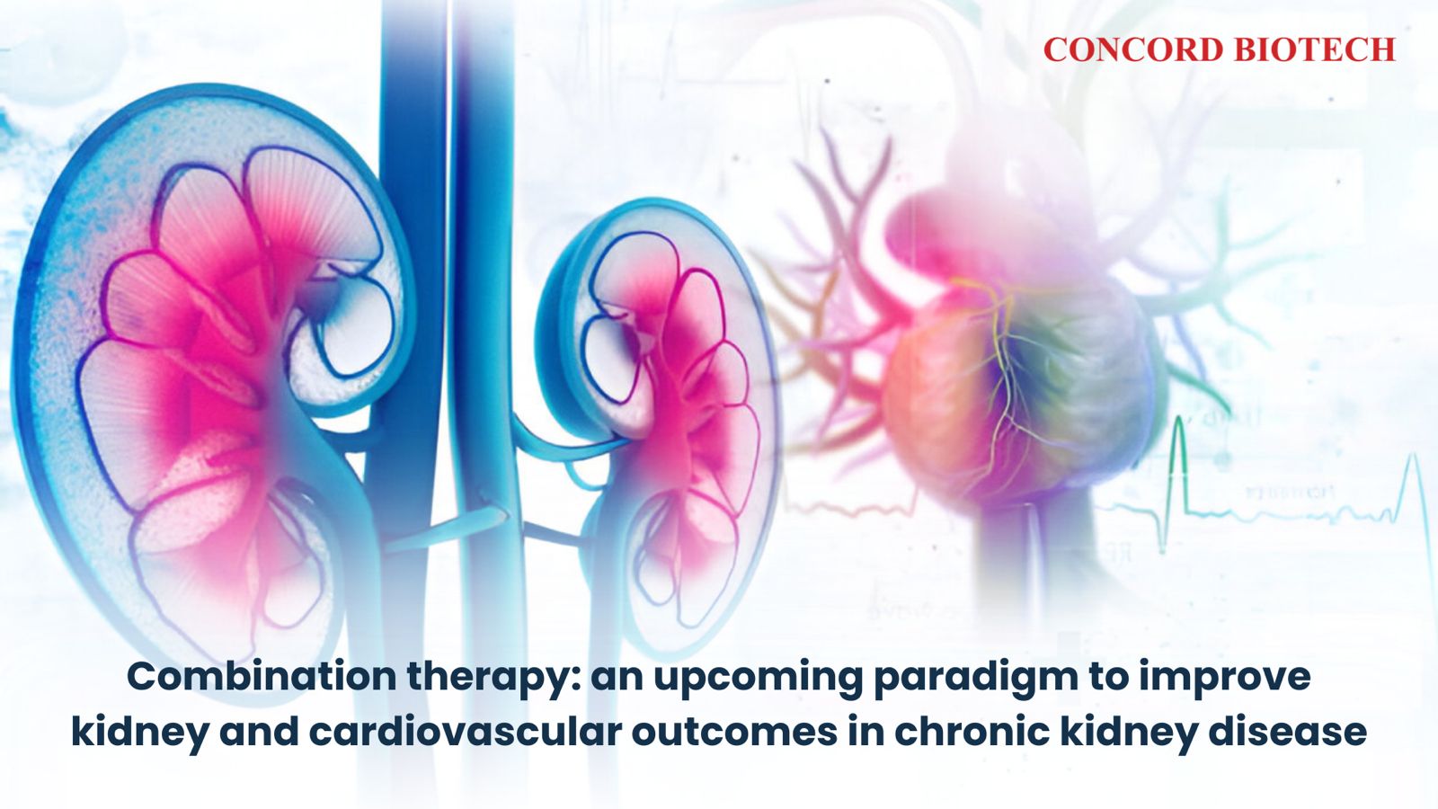 Combination therapy: an upcoming paradigm to improve kidney and ...